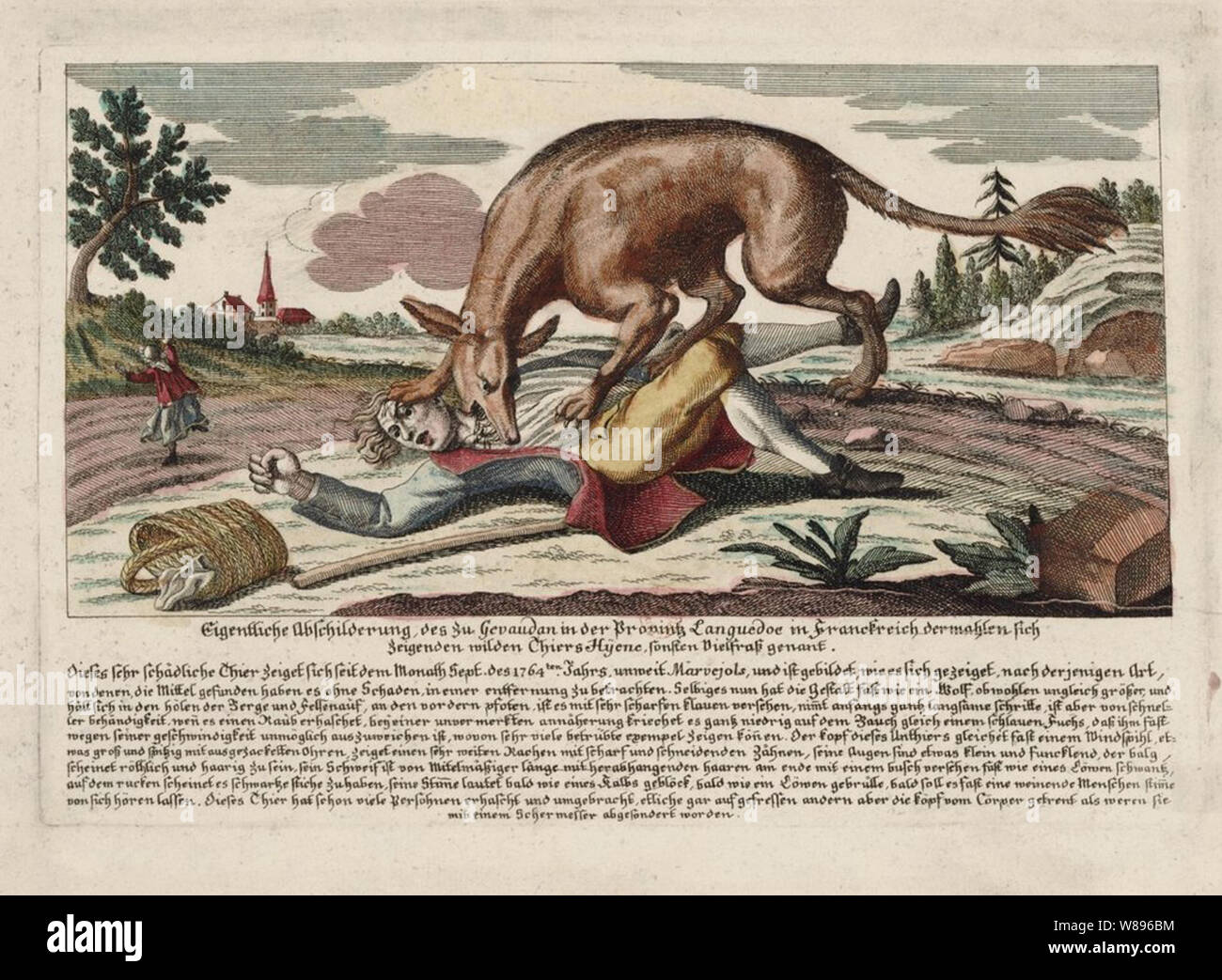 Beast Of Gevaudan High Resolution Stock Photography and Images - Alamy