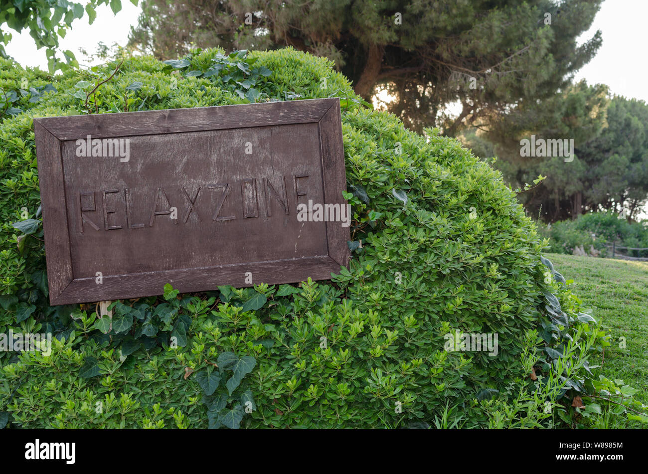 Wooden sign Relax Zone on big green bush on the park. Mindset Stock ...