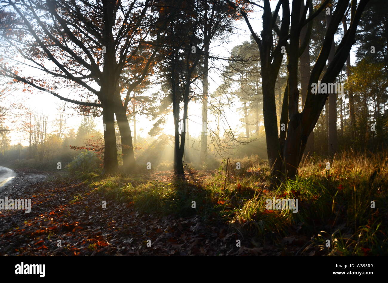 Cropton yorkshire hi-res stock photography and images - Alamy