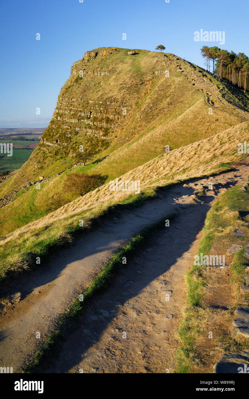 Ridge back hi-res stock photography and images - Alamy