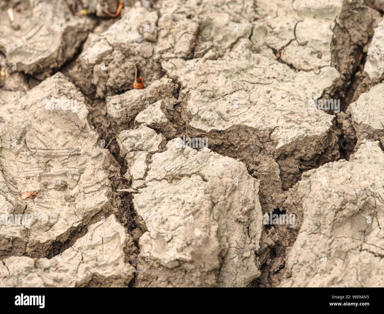 Cracks in salty mud from above. Cracks in mud due to extreme drought ...