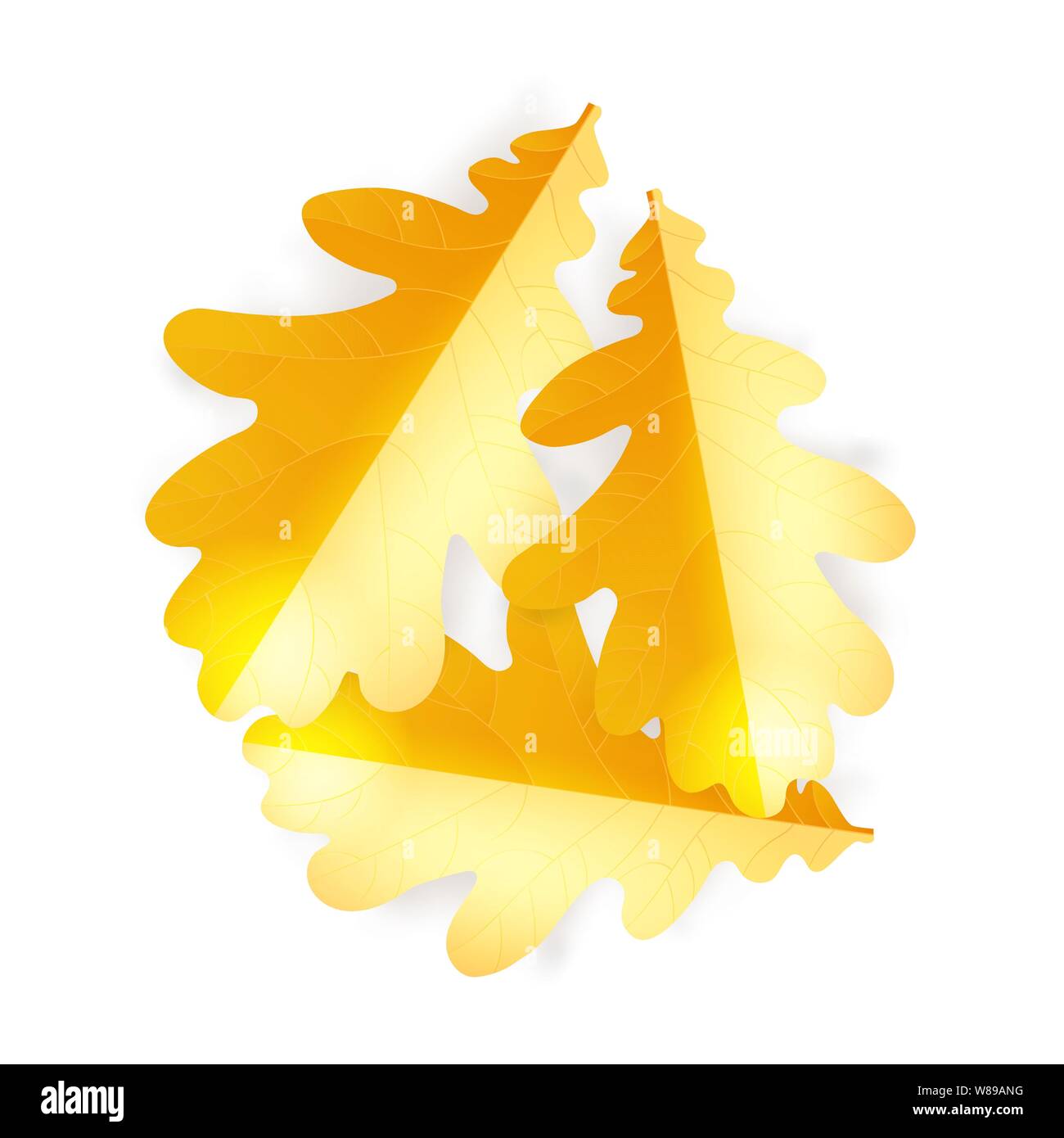 Realistic 3d rendering autumn fall oak leaves isolated on white ...