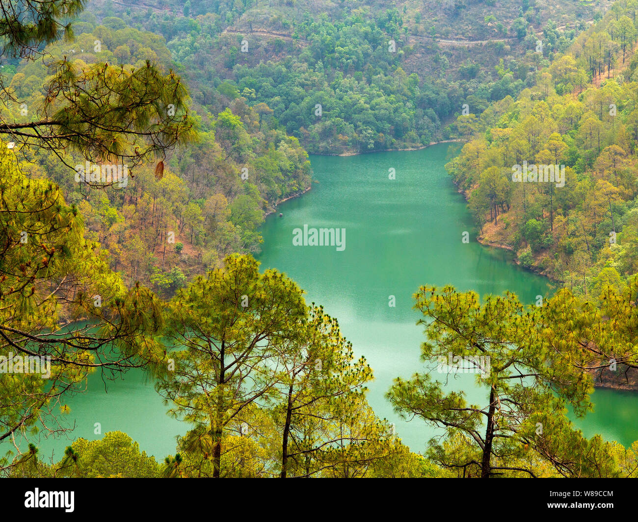 Sattal Lake is near Nainital and surrounded by dense forest ...