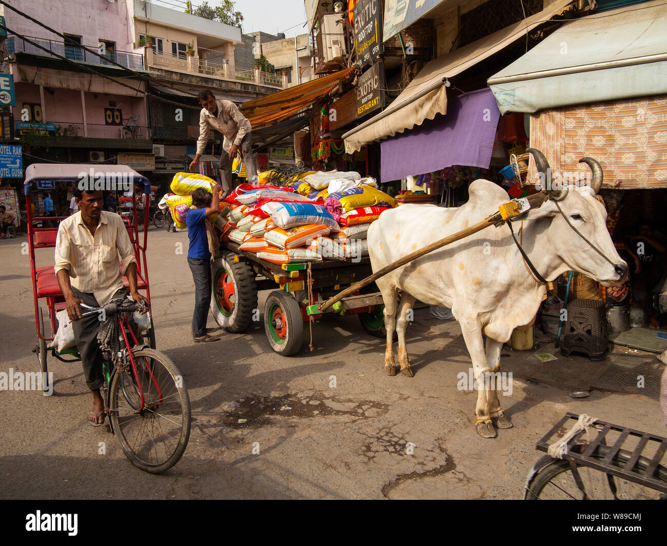 Street scene at Main Bazar Paharganj area, cart pulled by a bullock ...
