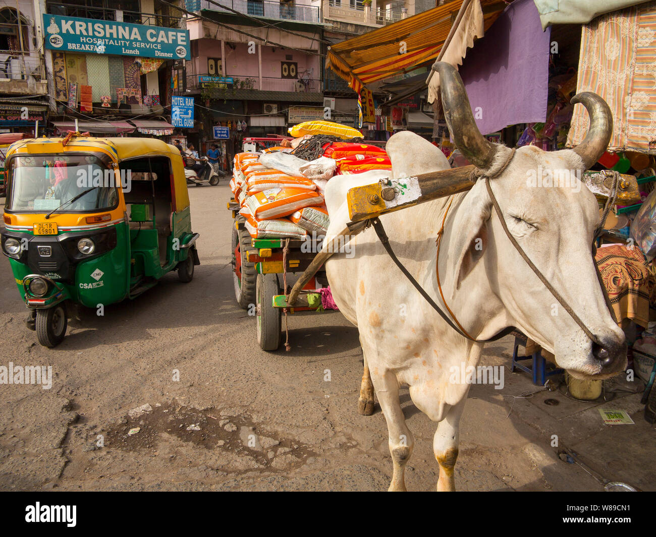 Street scene at Main Bazar Paharganj area, cart pulled by a bullock ...