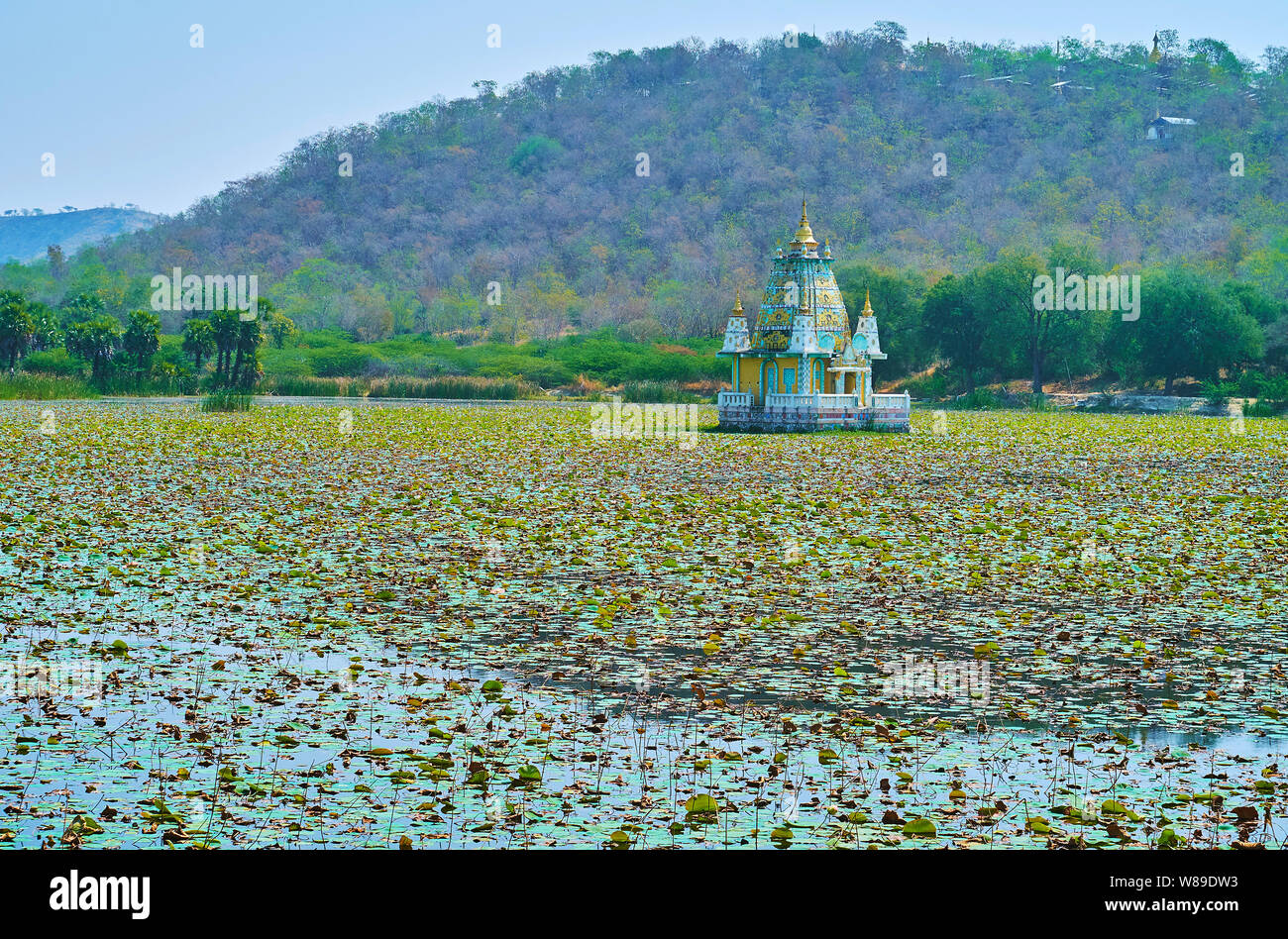 The scenic lotus pond with small pagoda and hill, covered with forest ...