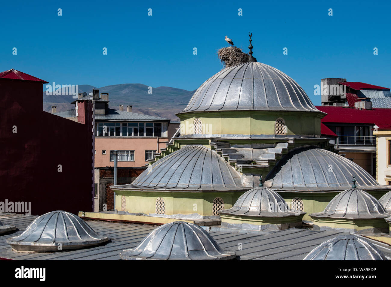 A stork with its cubs and the nest on the dome of a mosque in the city ...