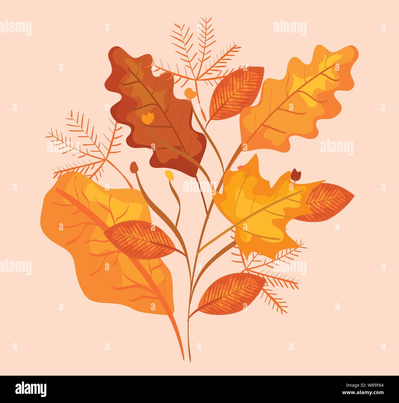 rustic leaves with nature branches plants Stock Vector Image & Art - Alamy