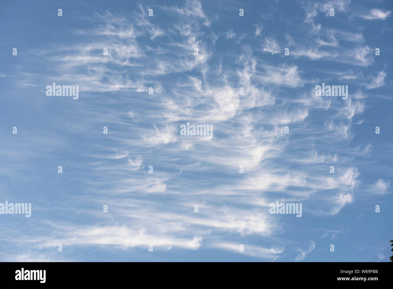 Cirrus Uncinus clouds above the Sussex countryside, England, UK Stock ...