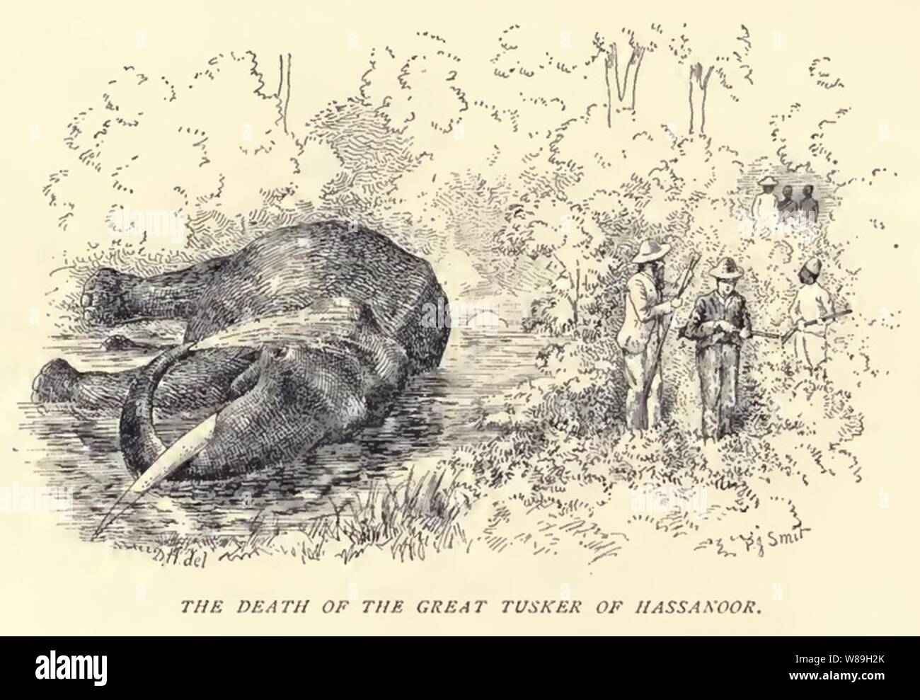 Death of Tusker Stock Photo - Alamy