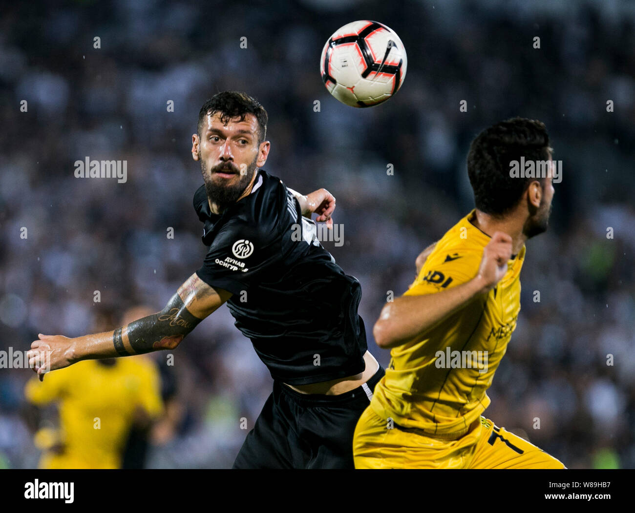 Scekic hi-res stock photography and images - Alamy