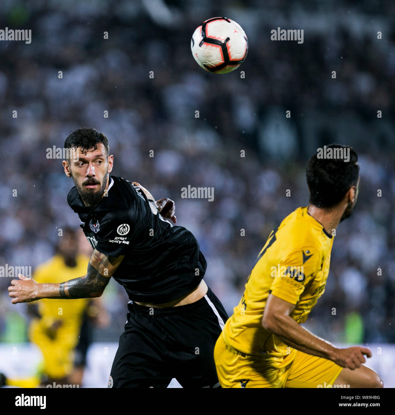 Scekic hi-res stock photography and images - Alamy