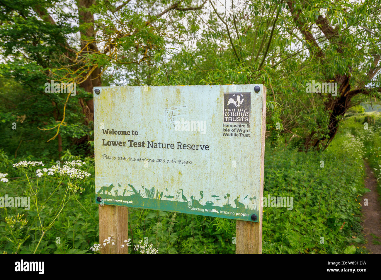 Hampshire wildlife hi-res stock photography and images - Alamy
