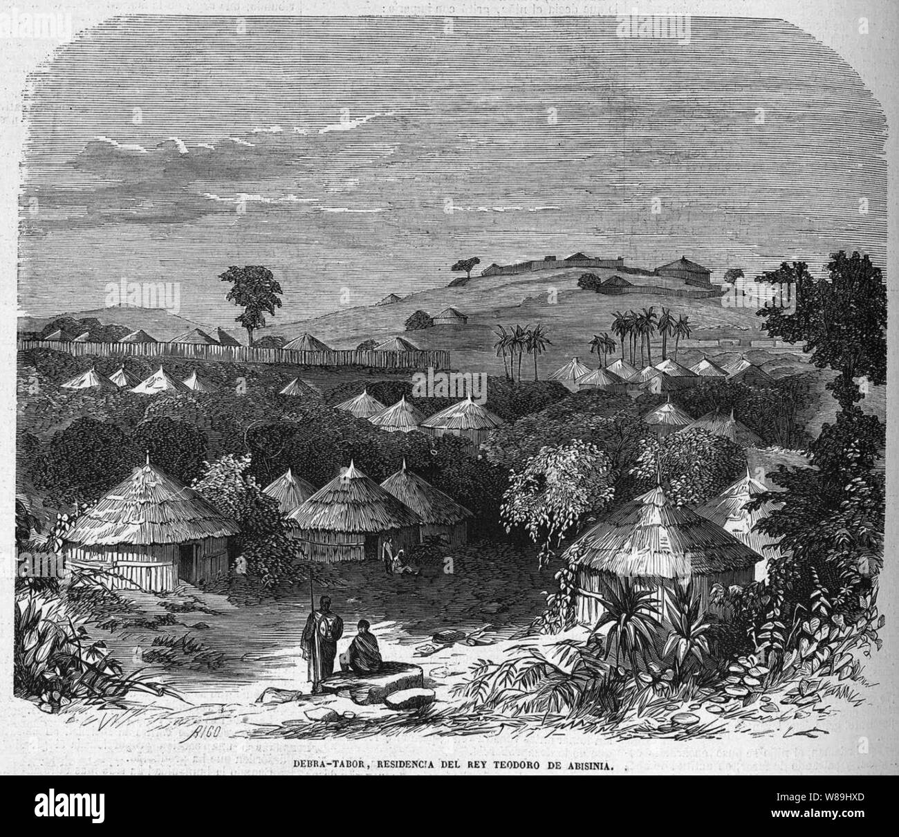 Abisinia hi-res stock photography and images - Alamy