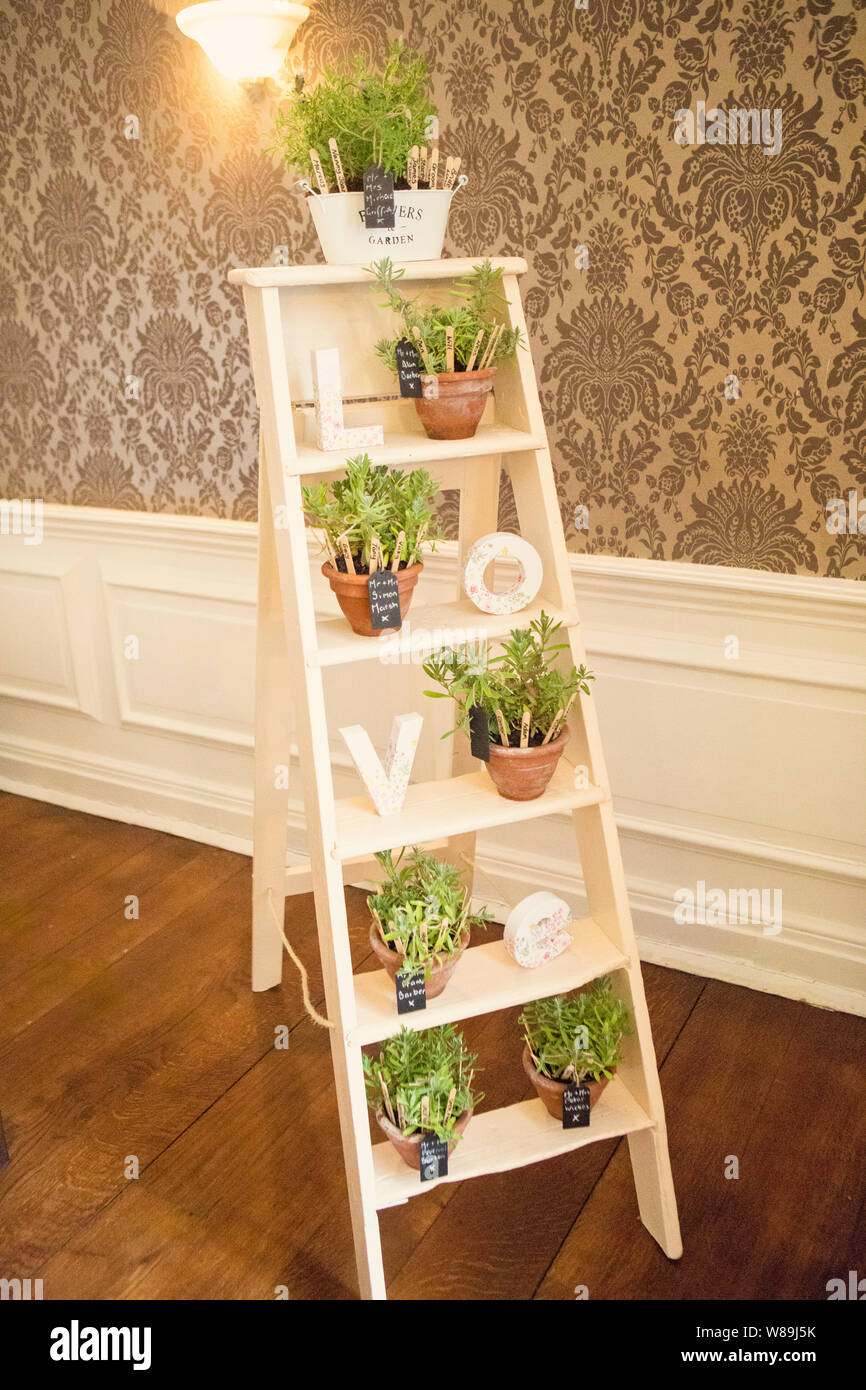 Wedding Table Plan Using Potted Herbs and wooden Ladder Stock Photo - Alamy