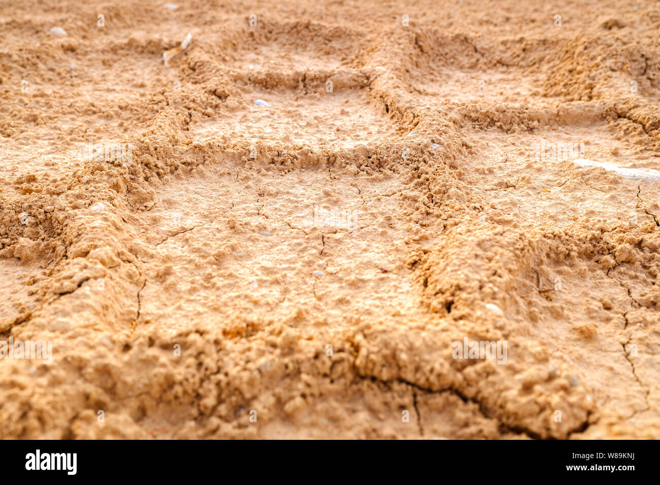 Curious shapes with a pattern created by drying the mud of a riverbed ...