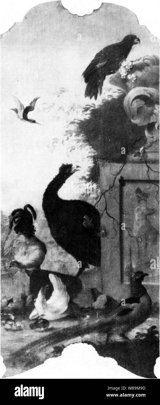 Painting of birds hi-res stock photography and images - Alamy