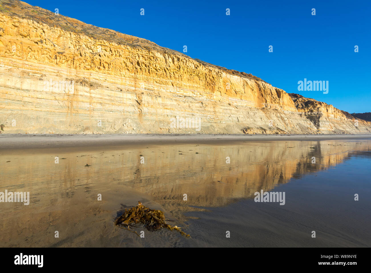 Colorful sandstone cliffs along Torrey Pines State Beach. La Jolla ...