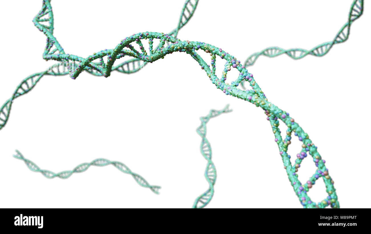 DNA molecule, double helix isolated on white background Stock Photo - Alamy