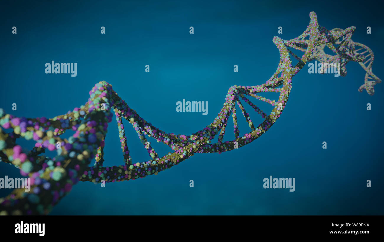 DNA molecule, double helix floating in liquid (3d science rendering ...