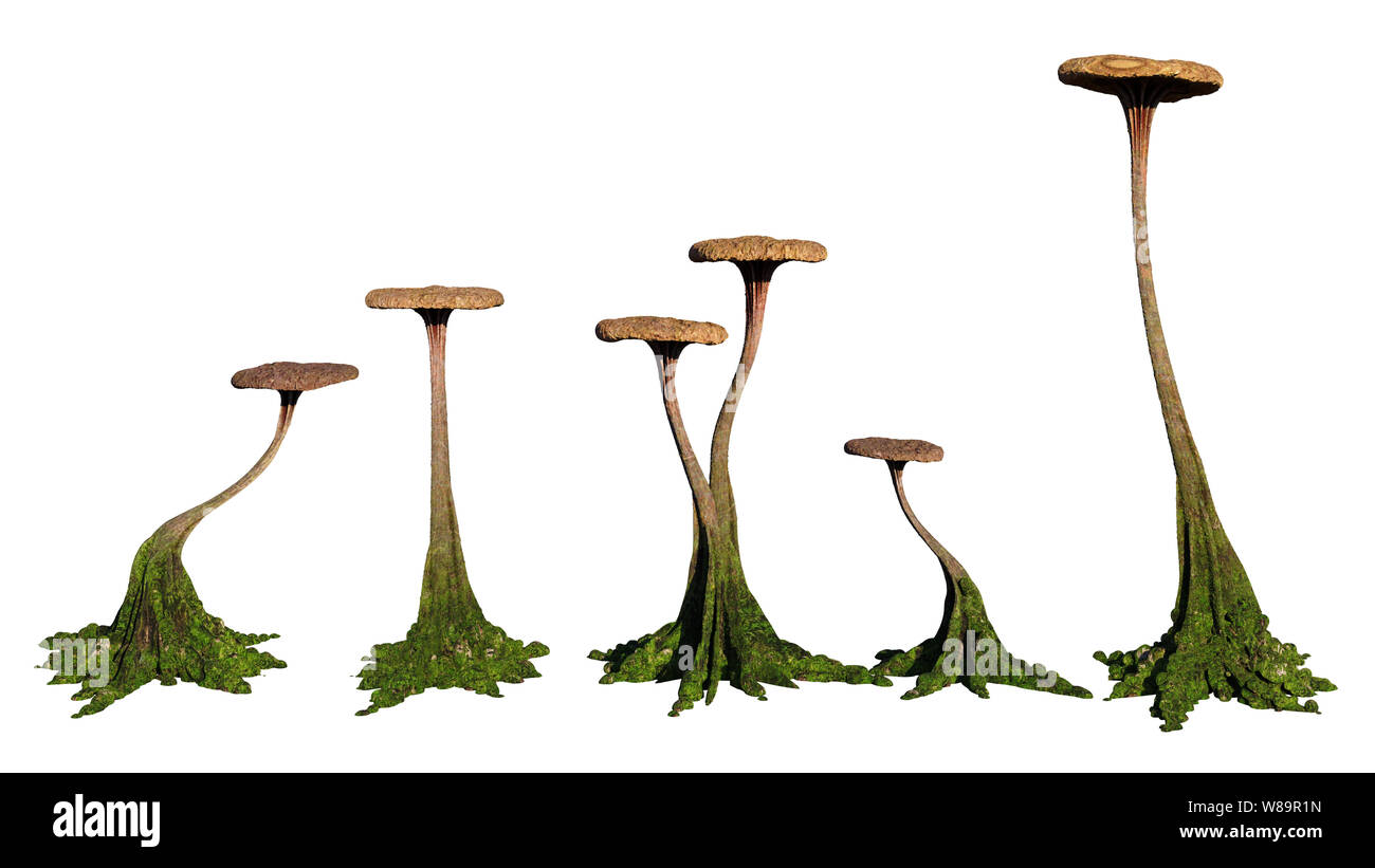 Strange fungi Cut Out Stock Images & Pictures - Alamy