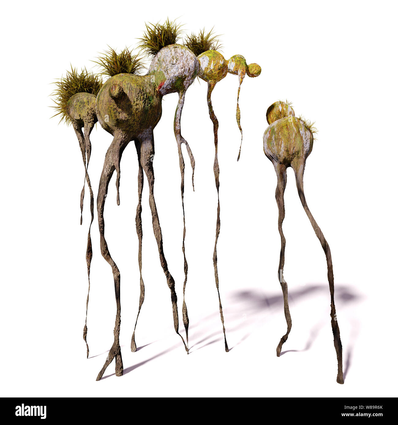 alien plant, exotic flora isolated on white background Stock Photo - Alamy