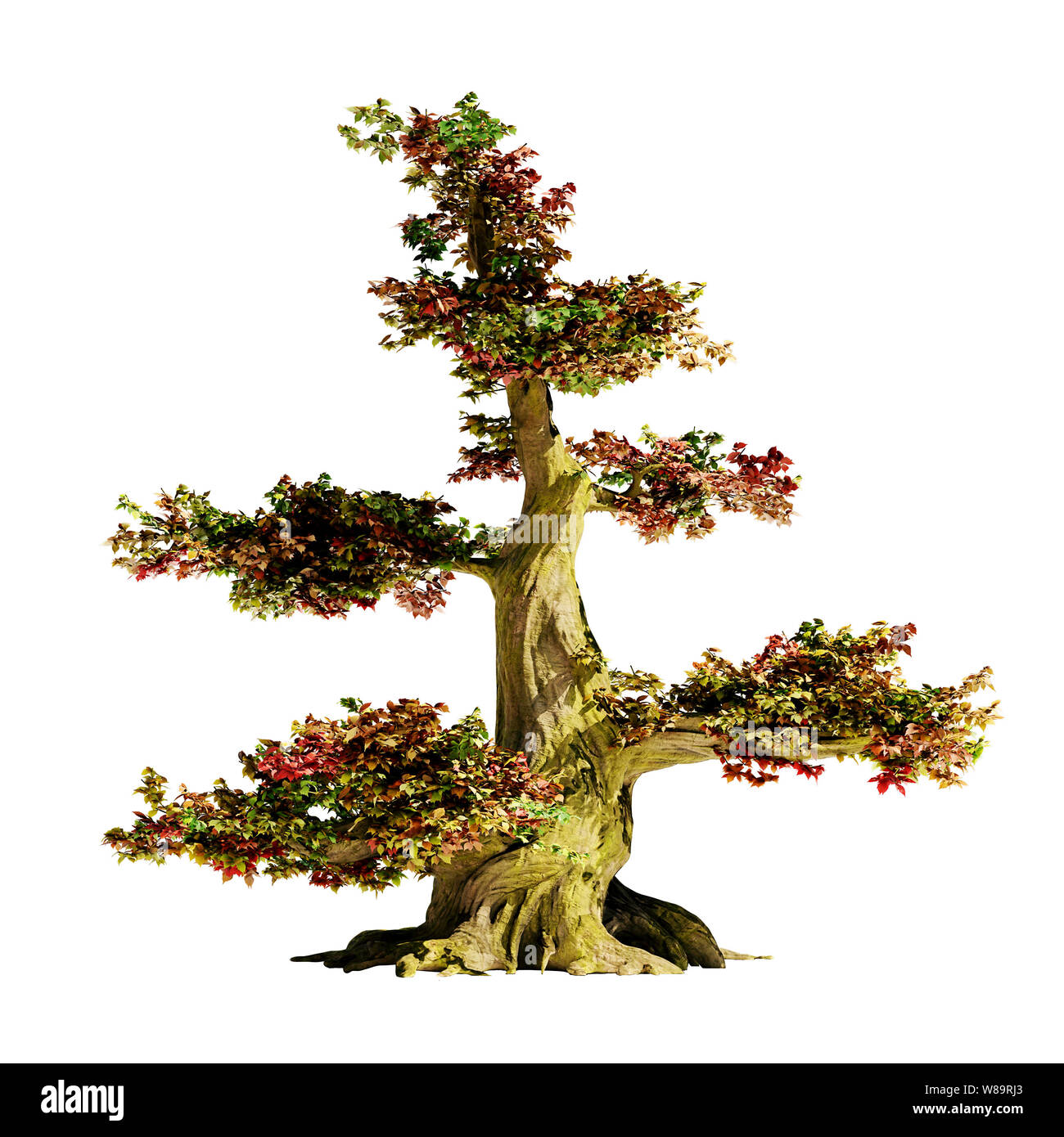 Stand summer tree Cut Out Stock Images & Pictures - Alamy