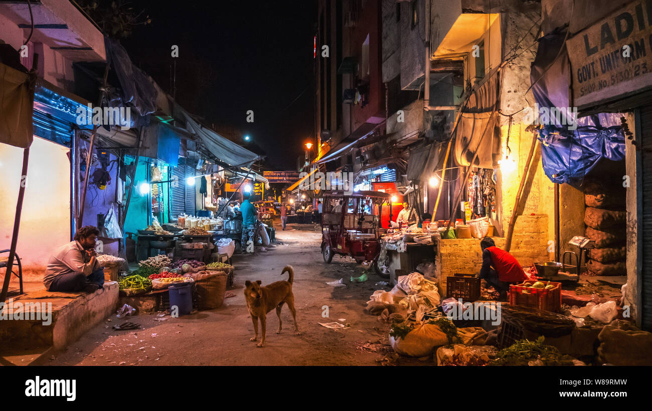 Local food night market and single stray dog, New Delhi, Delhi, India ...