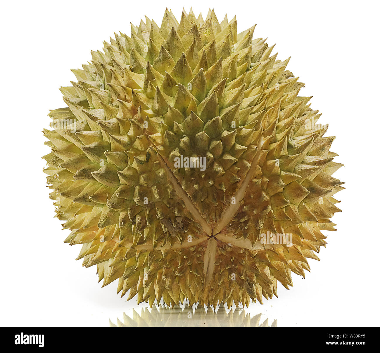 Whole Durian High Resolution Stock Photography and Images - Alamy