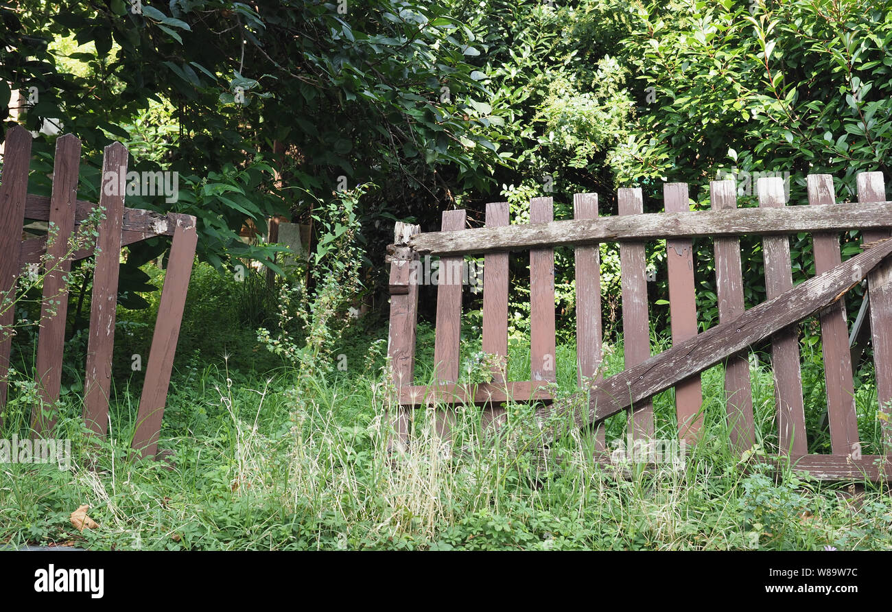 ruins of ancient vintage abandoned wooden broken fence in a meadow ...