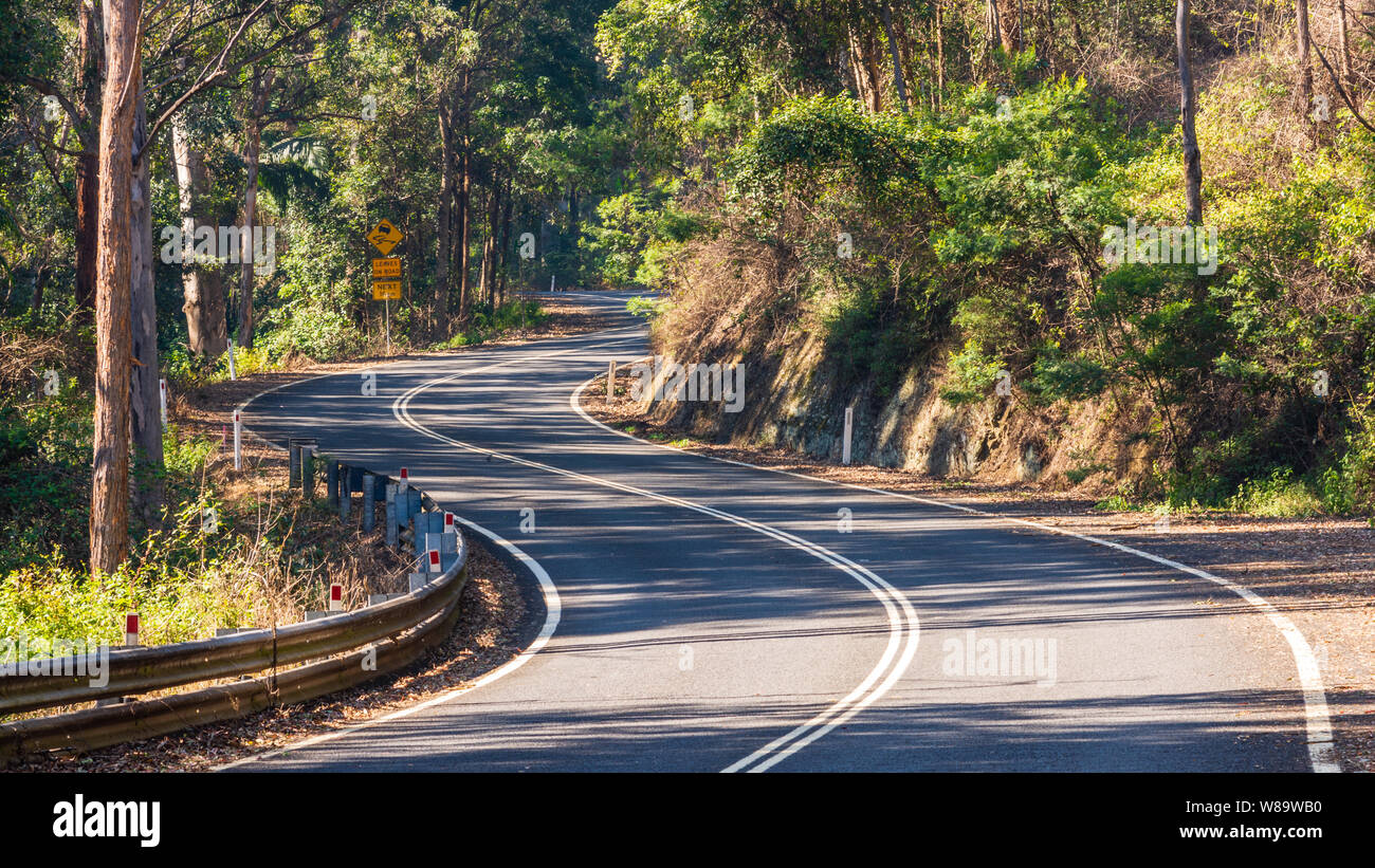 Car driving through forest hi-res stock photography and images - Alamy