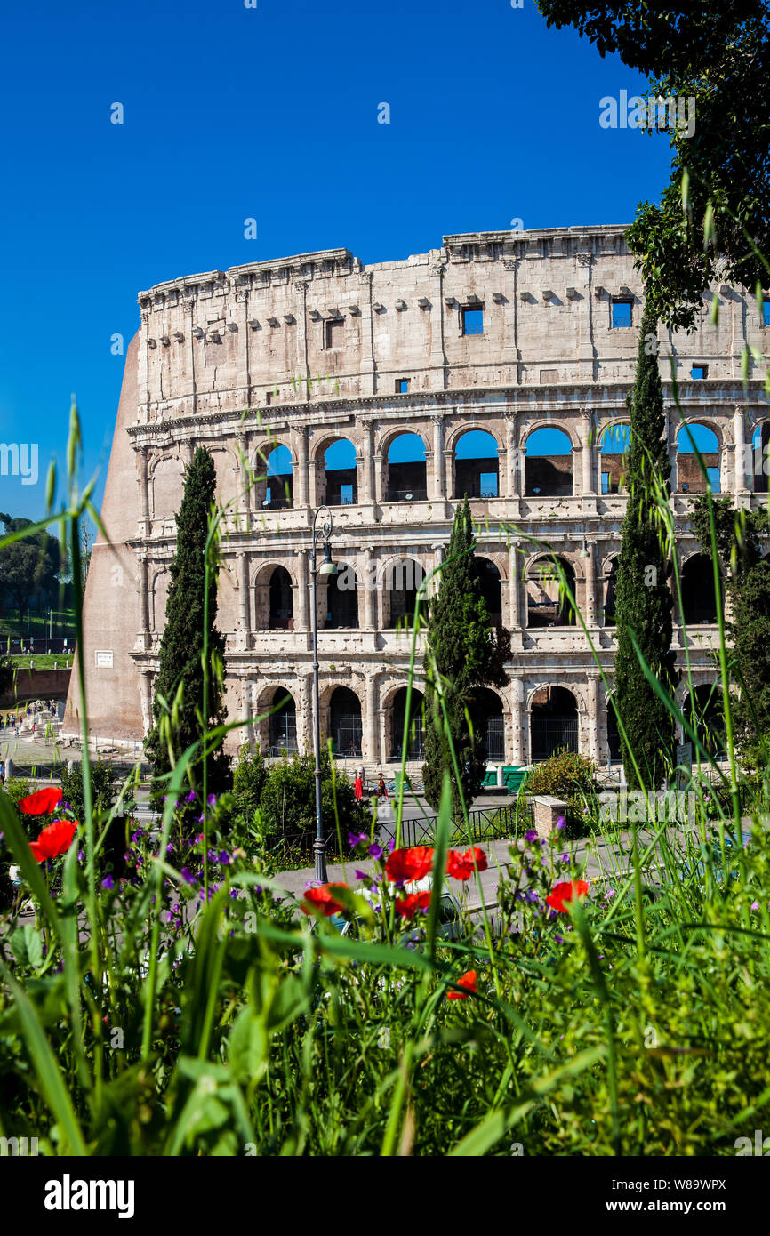 Roman colosseum flowers hi-res stock photography and images - Alamy