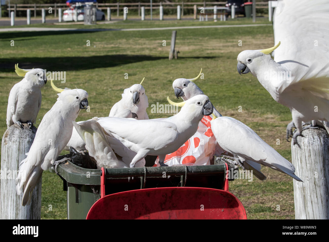 In garbage hi-res stock photography and images - Alamy