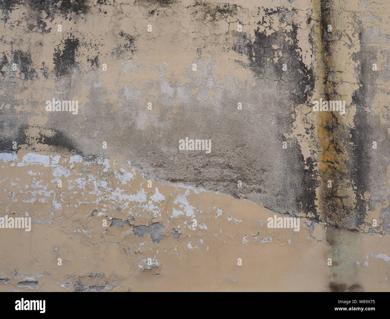 damage caused by dampness and moisture on a wall Stock Photo - Alamy