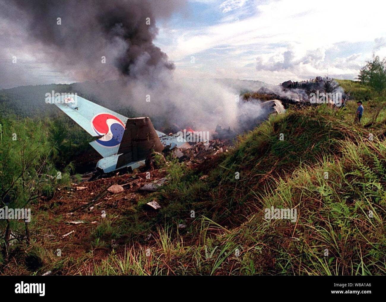The tail section of Korean Airlines flight 801 stands graphically ...