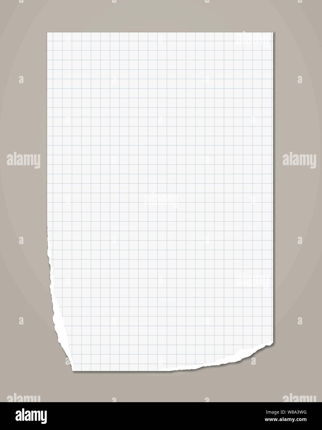 White ripped squared notebook, copybook paper sheet are on grey ...