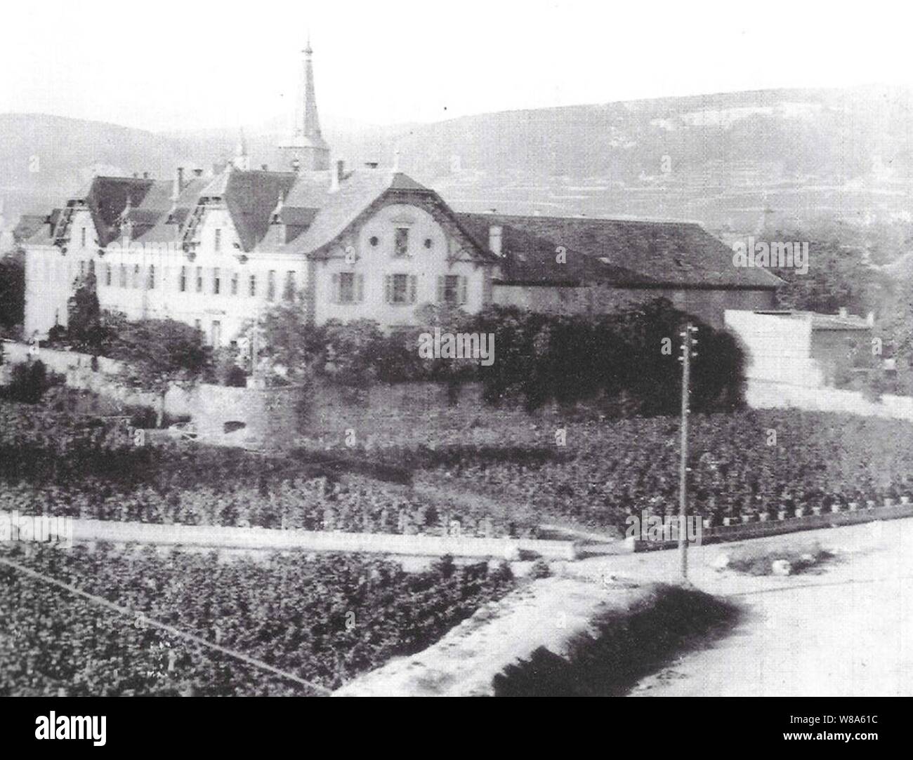 Deidesheim Schloss um 1900 Stock Photo - Alamy