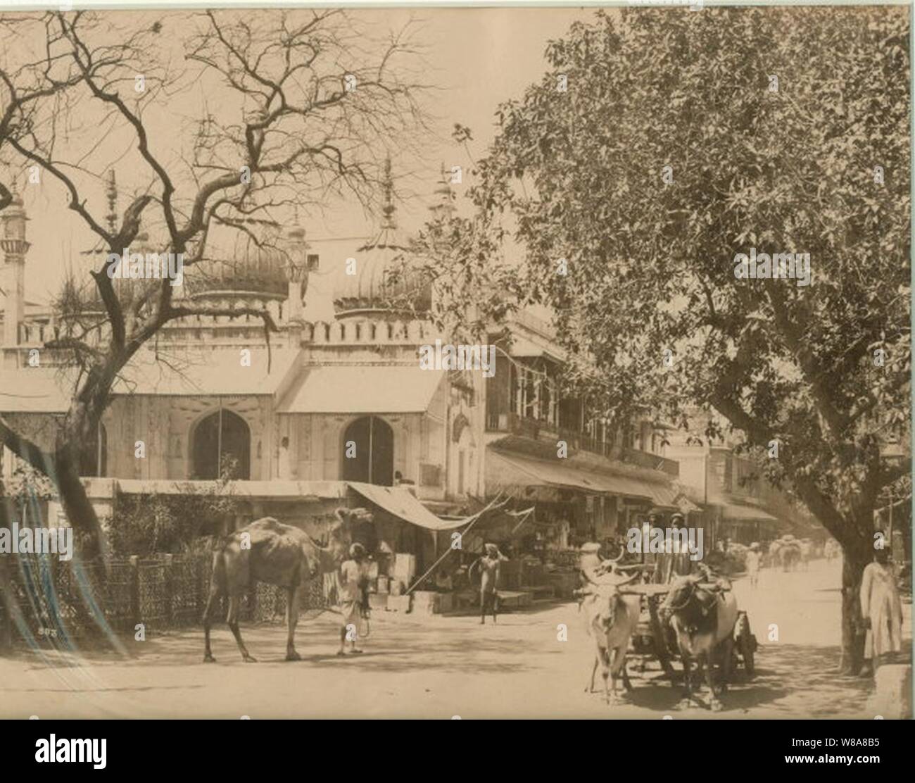 Delhi street scene in 1875 Stock Photo - Alamy