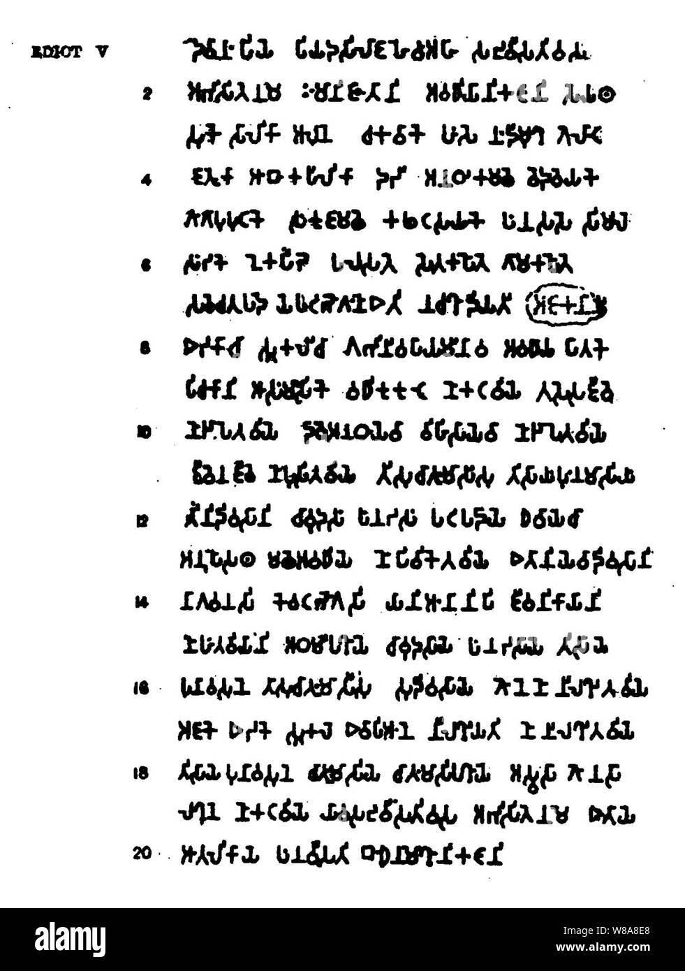 Delhi-Topra Major Pillar Edict 5 Stock Photo - Alamy