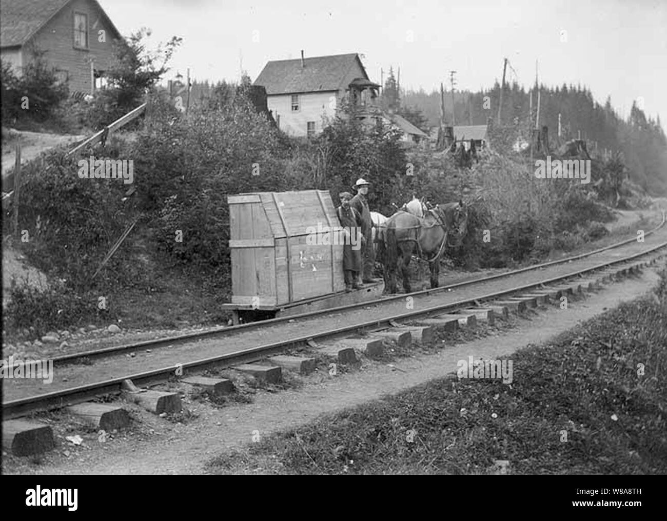 Delivering a piano on a horse-drawn sled Preston July 16 1907 (WAITE ...