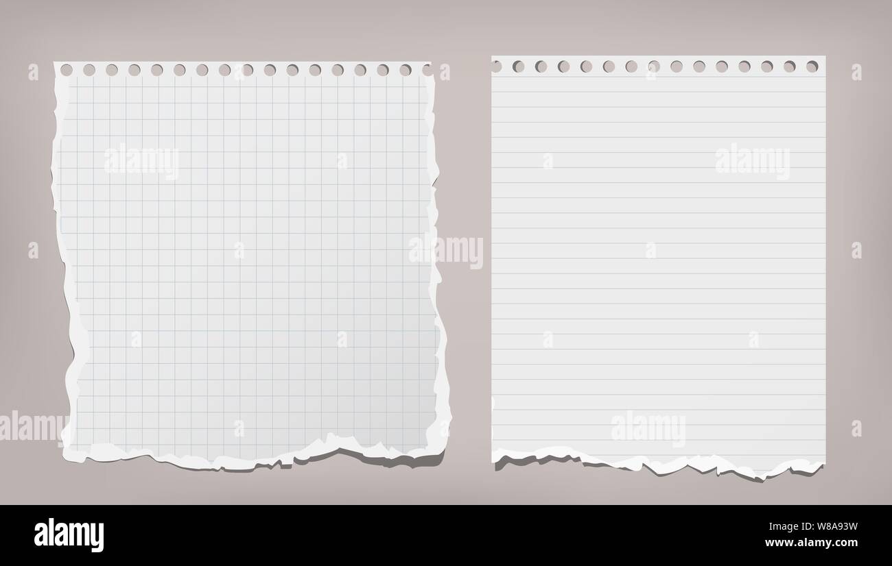 White ripped, lined and squared notebook, copybook paper sheets are on ...