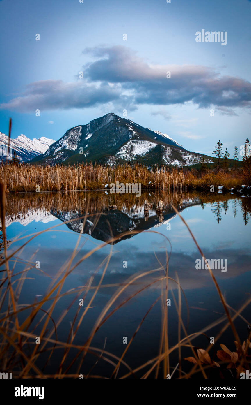 Reflections at Vermillion Lakes in Banff National Park Stock Photo - Alamy