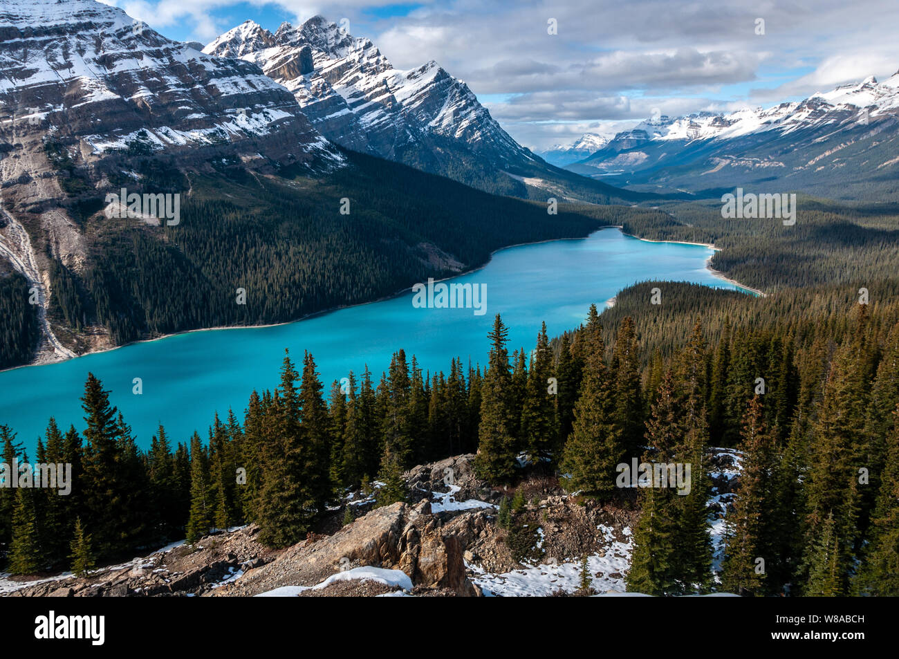 The famous viewpoint overlooking Peyto Lake in Banff National Park ...