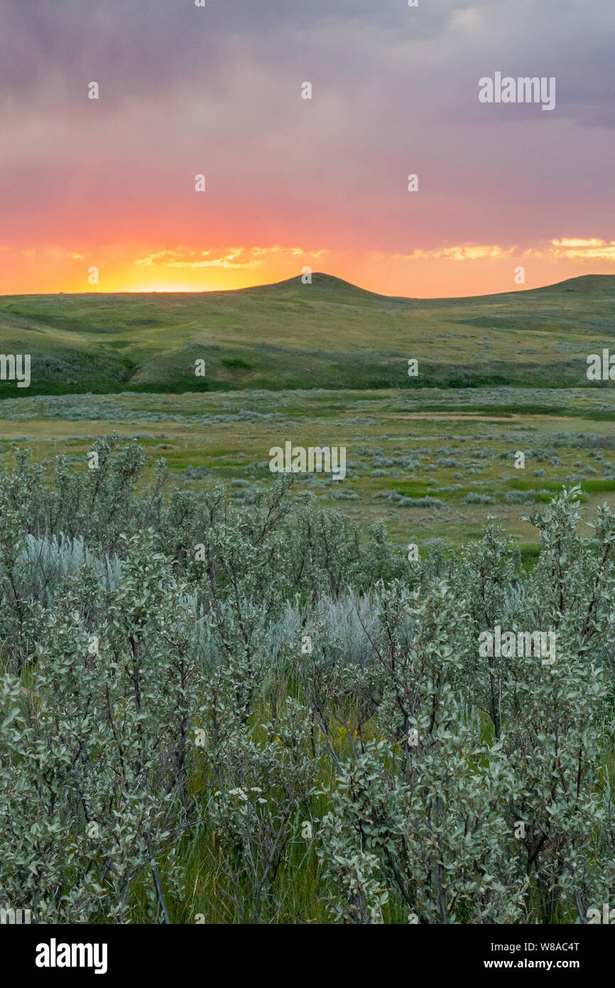 Saskatchewan landscape hi-res stock photography and images - Alamy