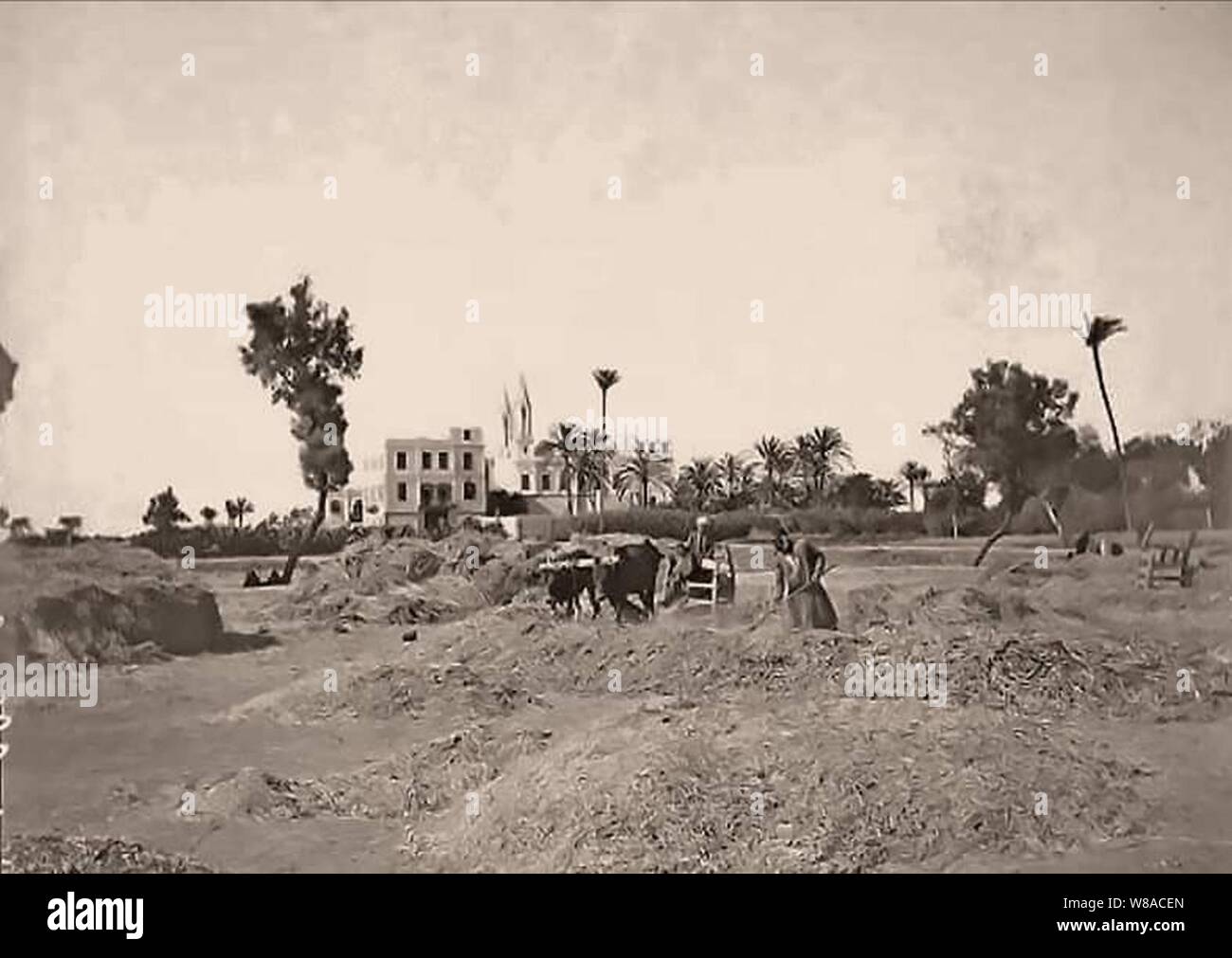 Demerdash hi-res stock photography and images - Alamy