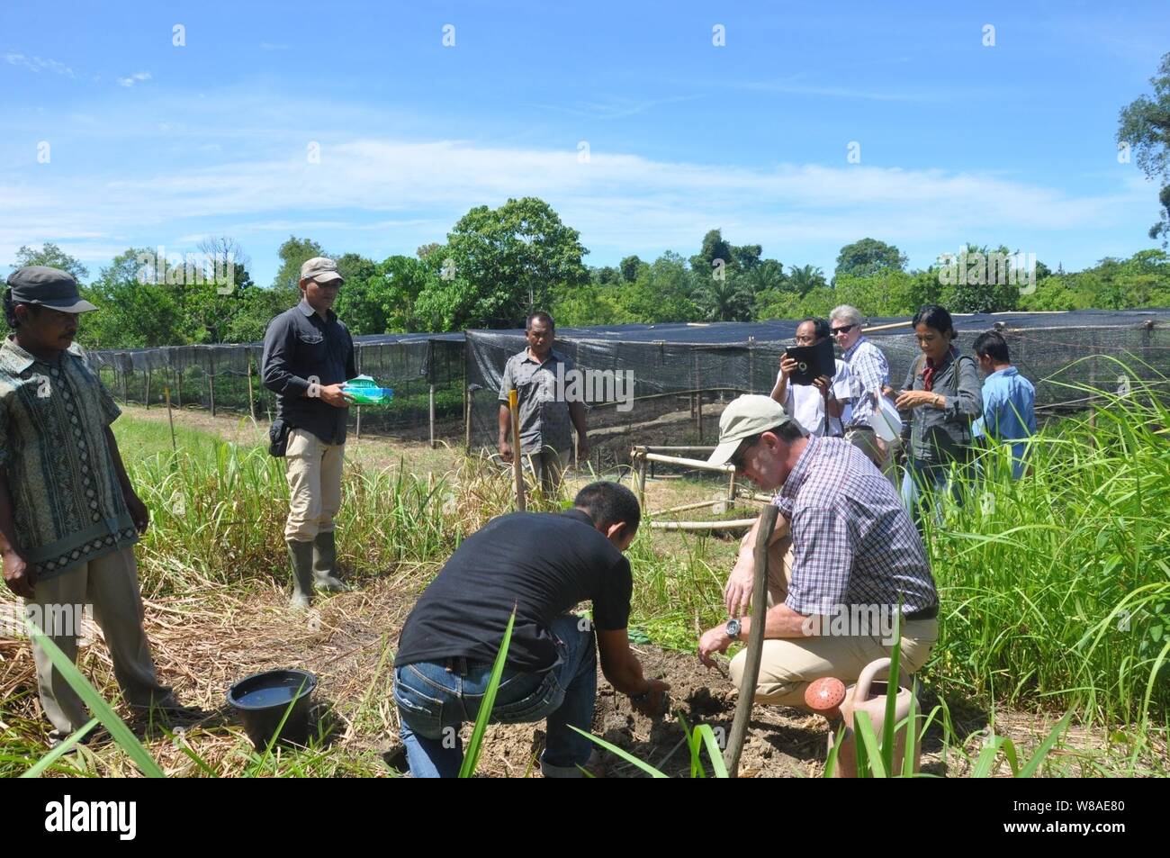 Proper planting hi-res stock photography and images - Alamy