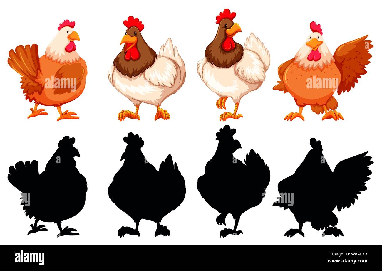 Cartoon Chicken Animal Outline Vector Stock Photos & Cartoon Chicken ...