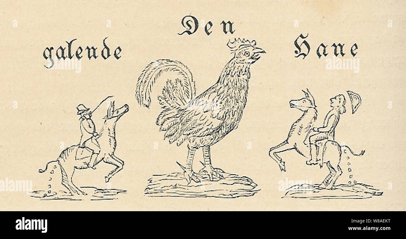 Den galende Hane Stock Photo - Alamy