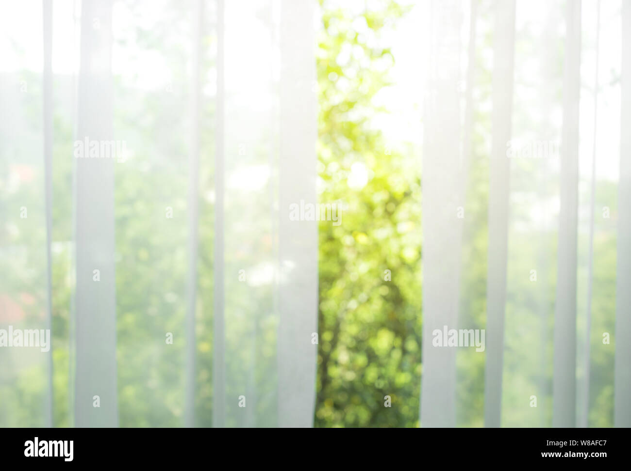 Blur of white curtain with window view / tree garden background Stock ...