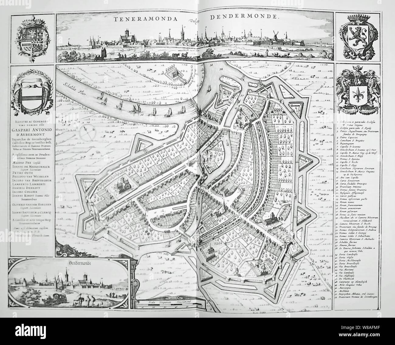 Sanderus hi-res stock photography and images - Alamy